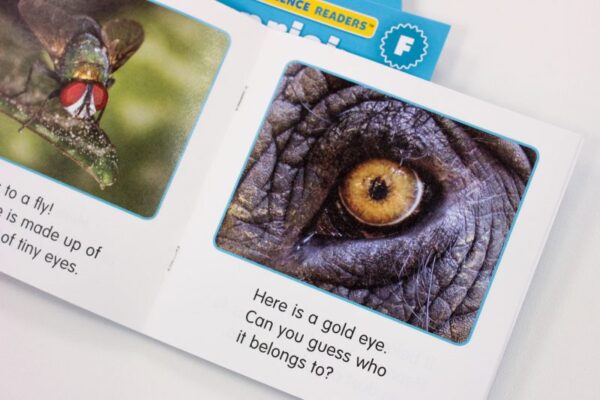 The Best Leveled Books from Scholastic Reading Club