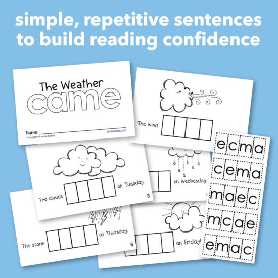 Weather Theme Emergent Reader for Sight Word CAME: "The Weather Came ...